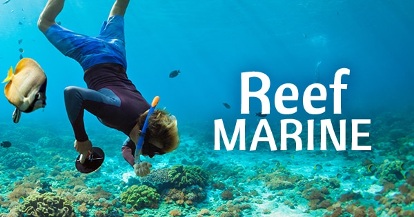Request Reservation | Reef Marine Inc. | Florida Keys